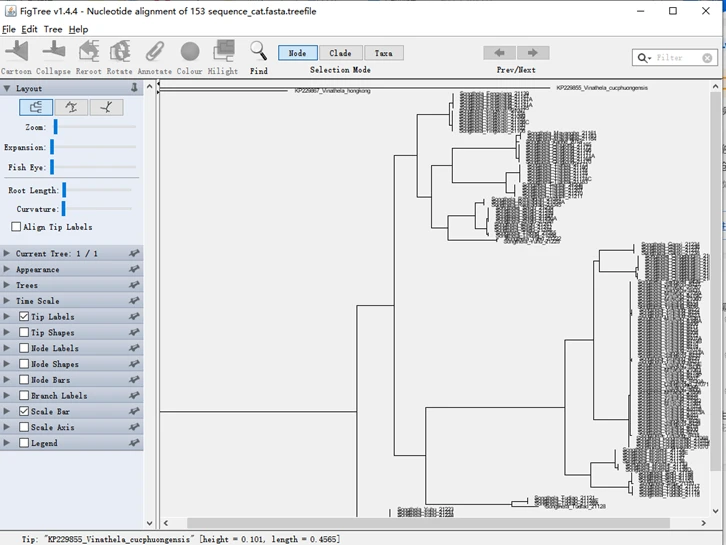 iqtree基于ML法建立系统发育树的步骤 - 哔哩哔哩
