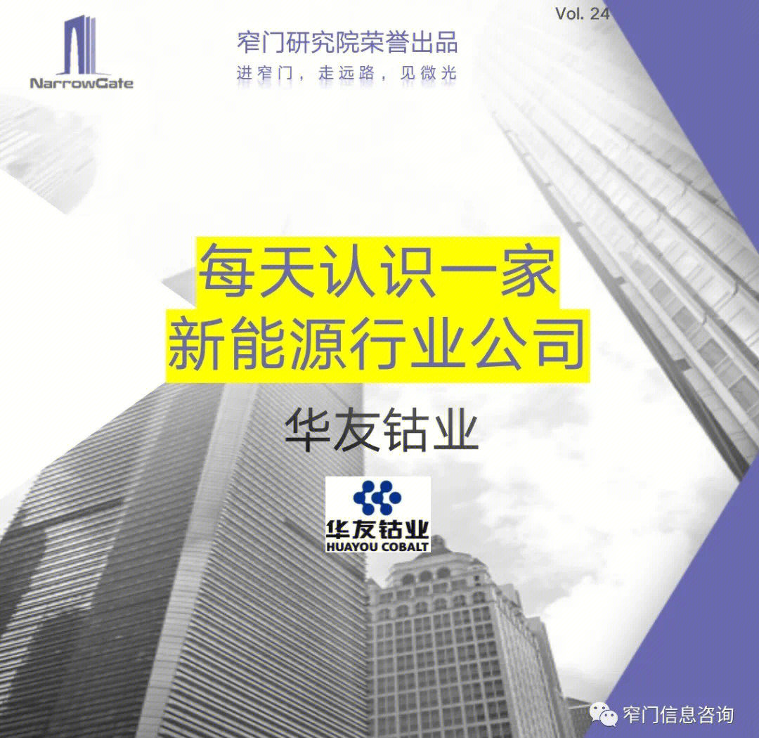 每天认识一家新能源行业公司vol24华友钴业 哔哩哔哩