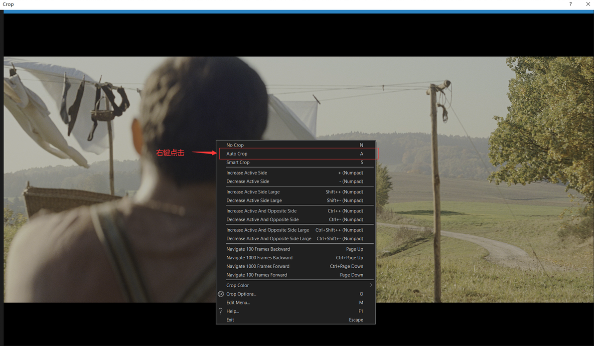 【教程】HDR10plus转Dolby vision杜比视界 - 哔哩哔哩