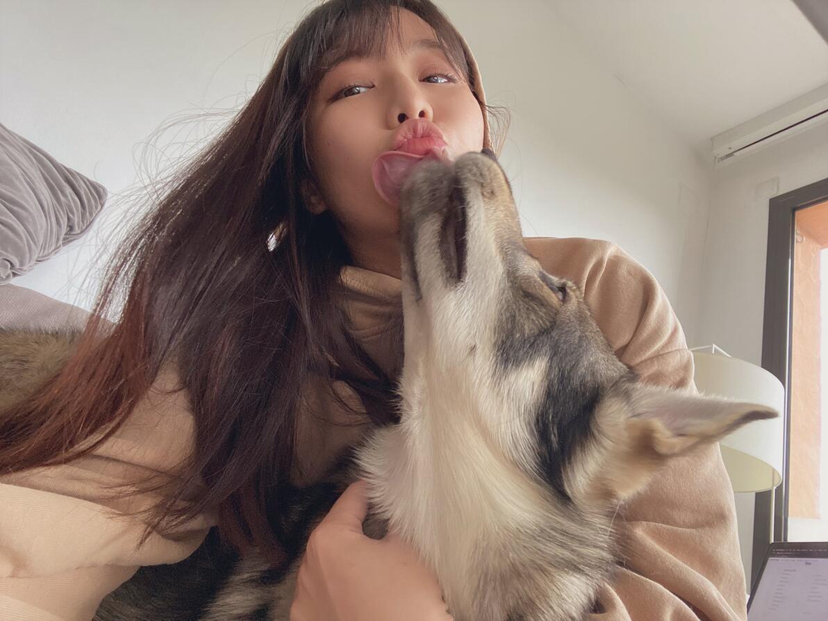 OBOKOZU (@obokozu) - 哔哩哔哩