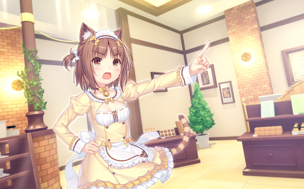 neko para4 CG合集【74p】 - 哔哩哔哩