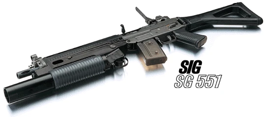 源于AK，走的更远——瑞士SG550/SG551突击步枪简介 - 哔哩哔哩