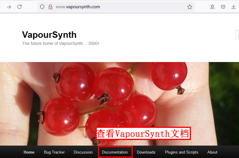 VapourSynth（VS） 视频处理压制入门教程 - 哔哩哔哩