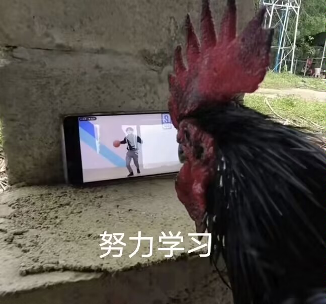 【ikun】蔡徐坤表情包第八弹！ - 哔哩哔哩
