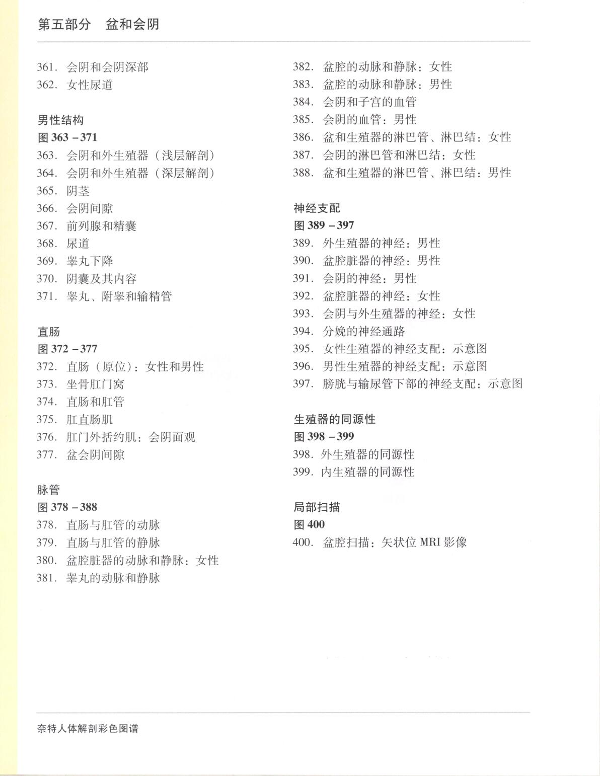 《奈特人体解剖彩色图谱 第3版》Frank H. Netter原著；王怀经主译&R - 哔哩哔哩