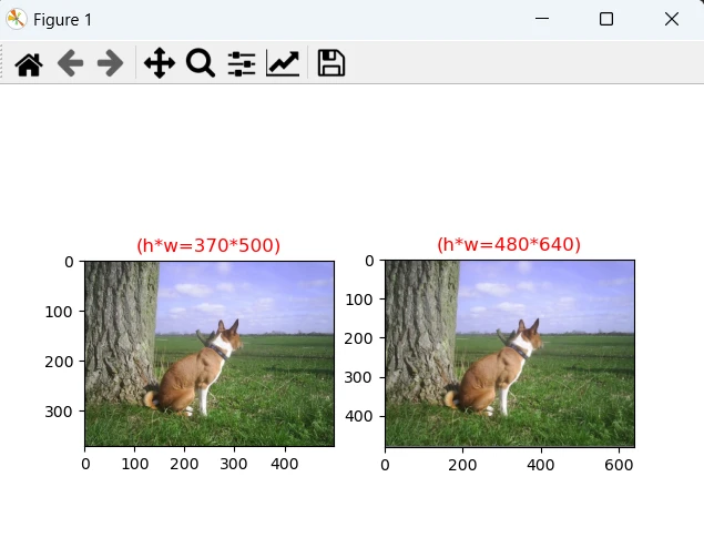 第十三篇—Rectangular推理（YOLOv5专题） - 哔哩哔哩