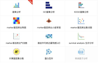 博奥晶典单细胞生信云平台CellScope账号免费送! - 哔哩哔哩