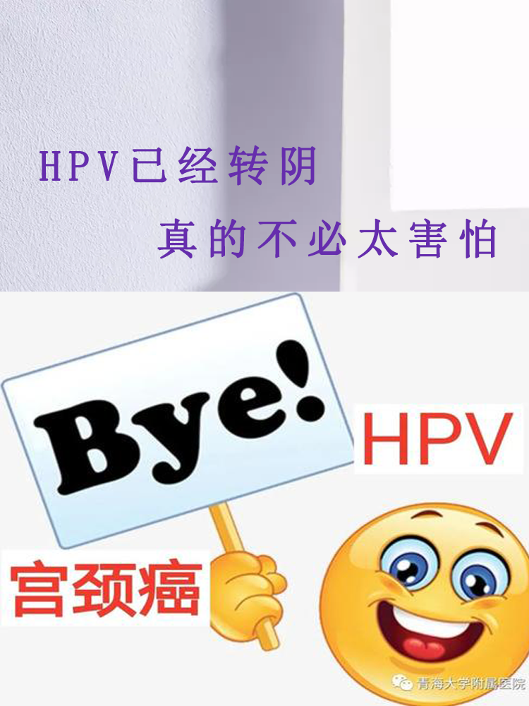 Hpv转阴的方法是哪些,做好这几件事就可以了 哔哩哔哩