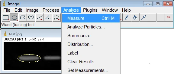 ImageJ惊艳登场！分分钟搞定WB条带灰度分析（内含免费软件包） - 哔哩哔哩