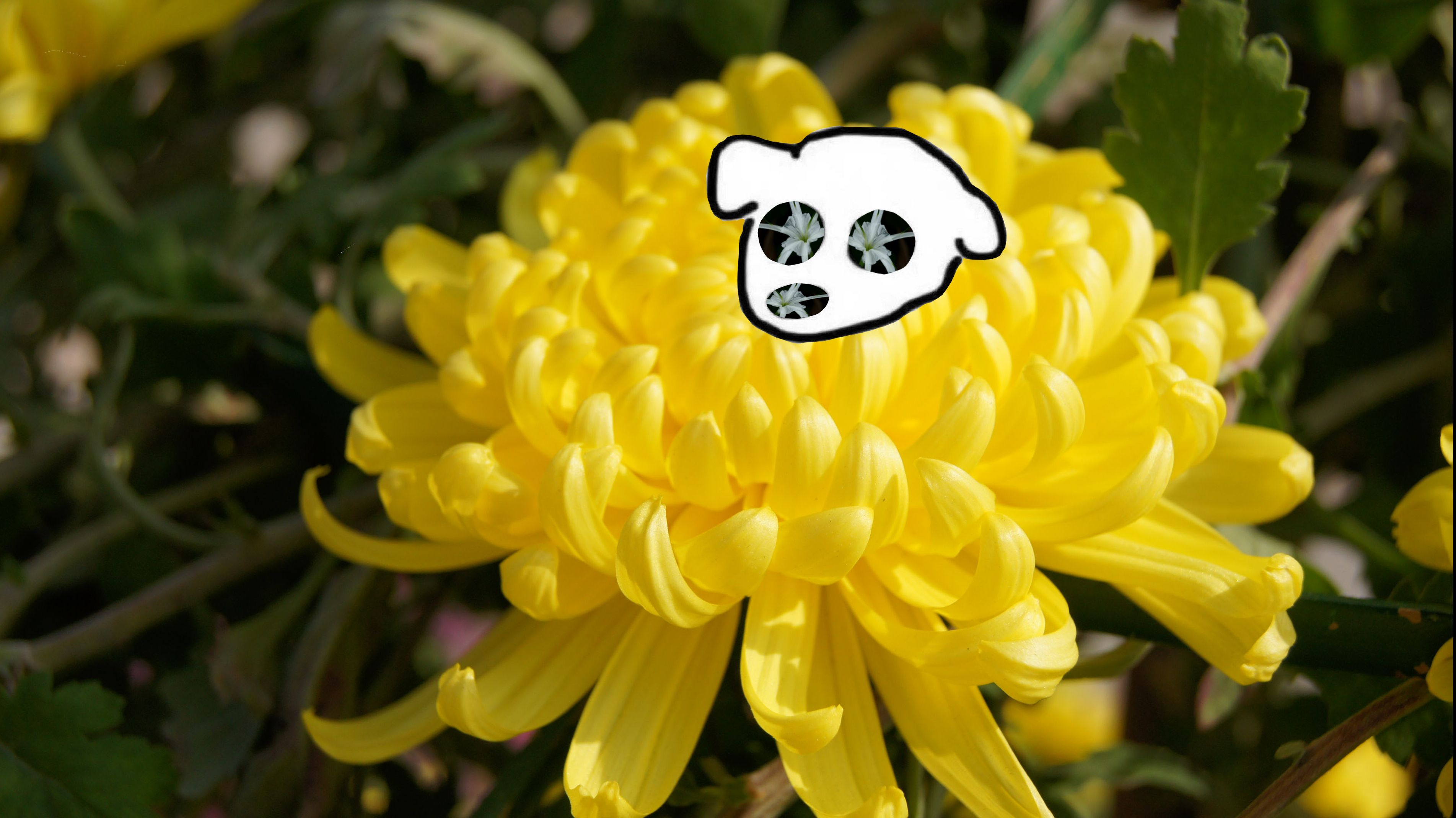 彐畎 哔哩哔哩