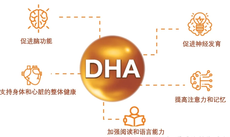 DHA的作用功效怎样 埃森美DHA - 哔哩哔哩