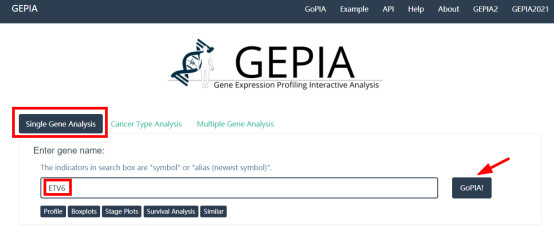 TCGA分析的数据库——GEPIA数据库的使用教程！/SCI论文/科研/研究生/生信分析热点思路 - 哔哩哔哩