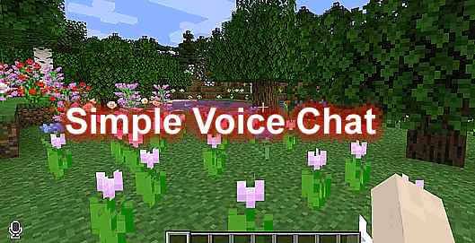 [1.16.X-1.18.X]Simple Voice Chat-简单的语言聊天插件 - 哔哩哔哩
