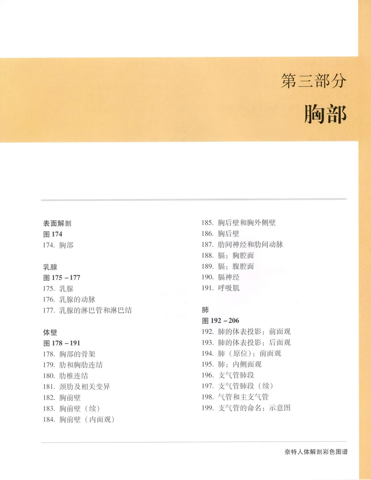 《奈特人体解剖彩色图谱 第3版》Frank H. Netter原著；王怀经主译&R - 哔哩哔哩