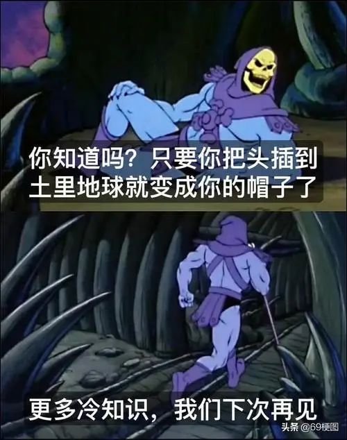 梗图与乱七八糟 特辑——骷髅王的建议和冷知识 哔哩哔哩