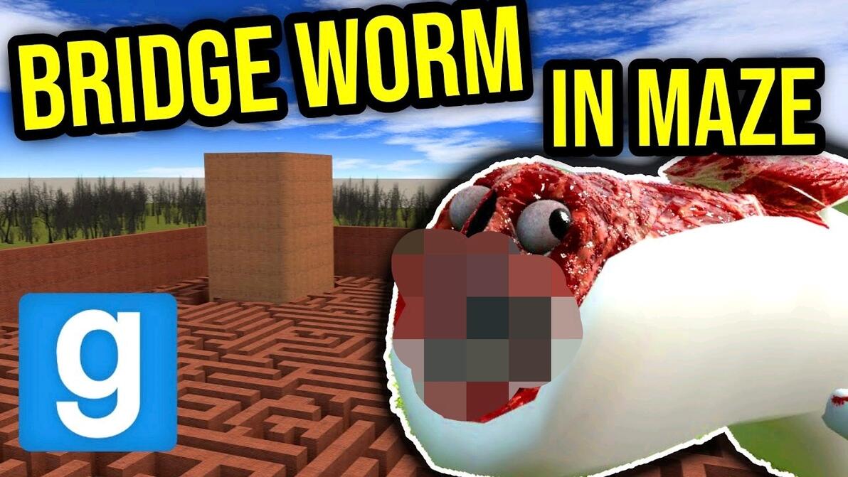 桥虫 (Bridge Worm) - 哔哩哔哩