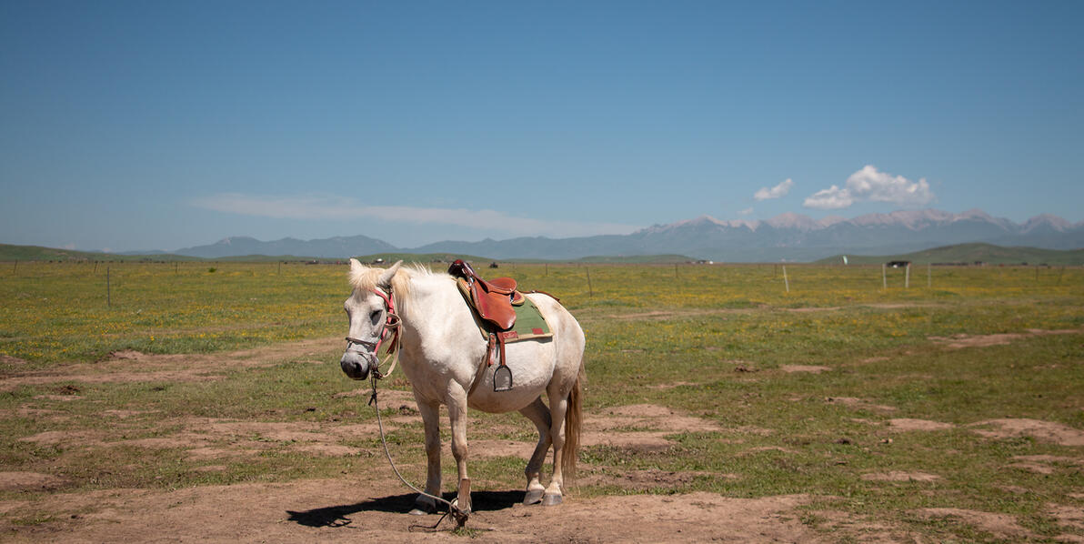 PS调色之电影色调（3DLUTS调色预设VisionLOG相机配置文件dcp） - 哔哩哔哩