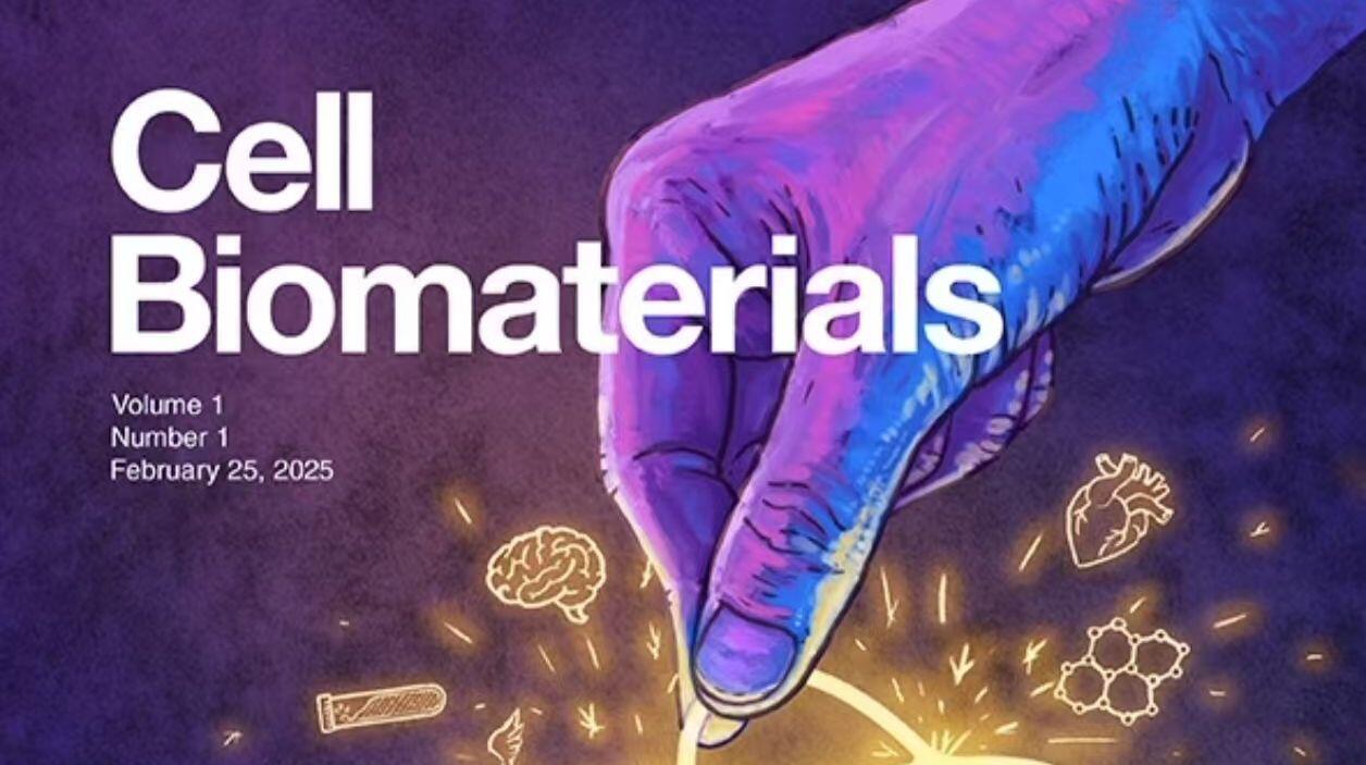 Cell Biomaterials创刊号正式上线！多篇研究来自中国团队 - 哔哩哔哩