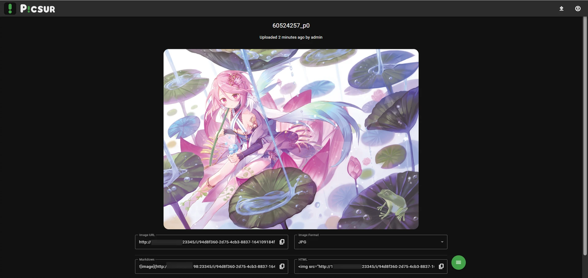 【docker】多功能、内置编辑的图床 | Picsur - 哔哩哔哩