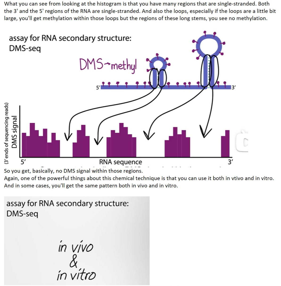 MIT 分子生物学 part3 5.7 Assays for RNA Structure,DMS-seq and SHAPE-s - 哔哩哔哩