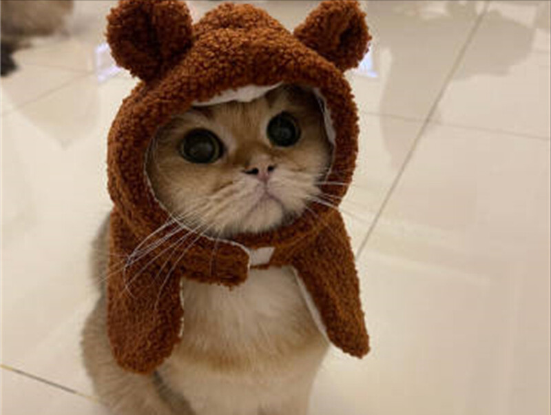 17SHOU无意透露CUI71身价，PERO体系仍旧不成熟，XDD难以发挥 - 哔哩哔哩