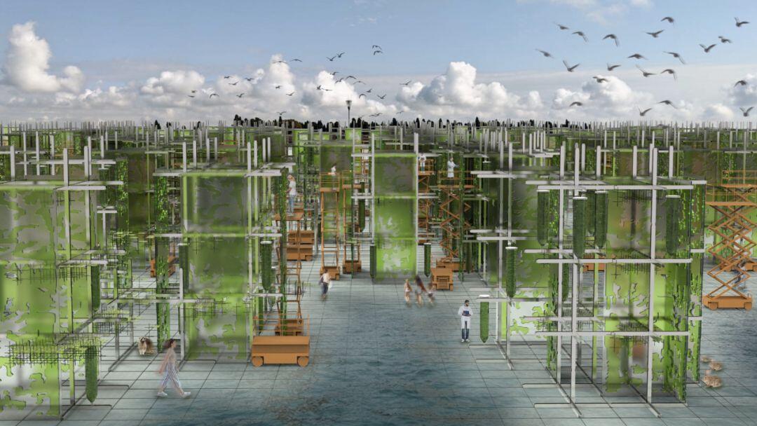 CY TALK | 生物设计科学怪人 ecoLogicStudio 如何运用藻类融入我们的生活 - 哔哩哔哩