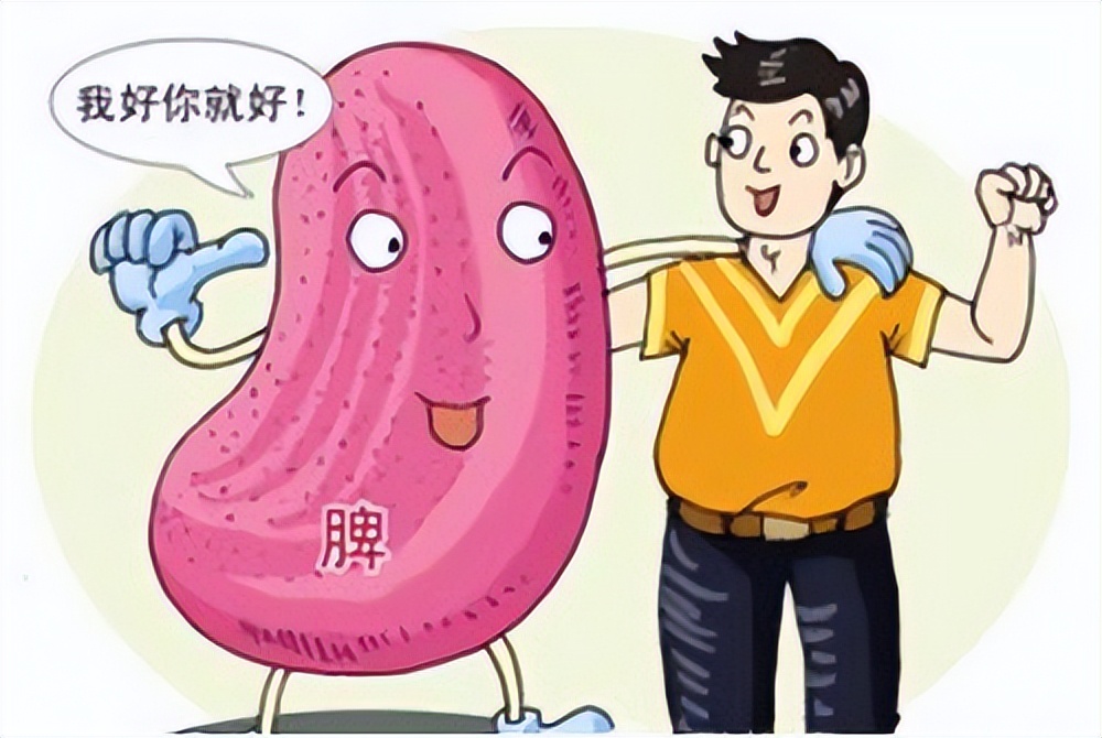 脾虚百病生，送你一个中成药，健脾益气，补后天之本，除百病之根 哔哩哔哩