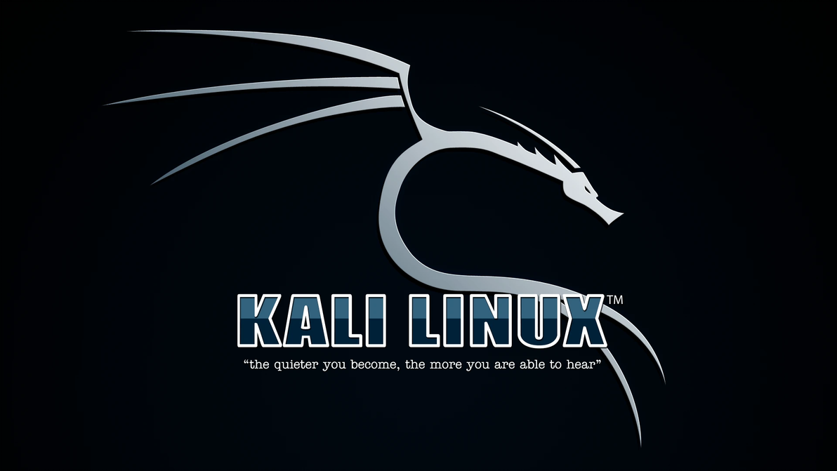 MS12-020“死亡蓝屏”漏洞大揭秘：Kali Linux 渗透测试实战攻略 - 哔哩哔哩
