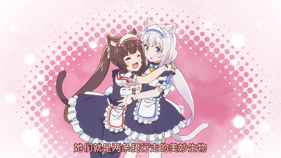 新番点评:nekopara 哔哩哔哩