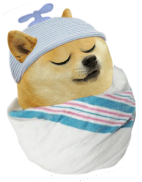 谢谢你cheems和它的伙伴【原图素材包！】 - 哔哩哔哩