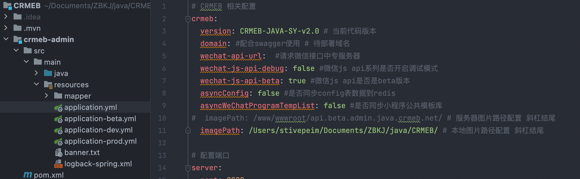 crmeb Java 2.0 本地开发开发环境搭建 - 哔哩哔哩