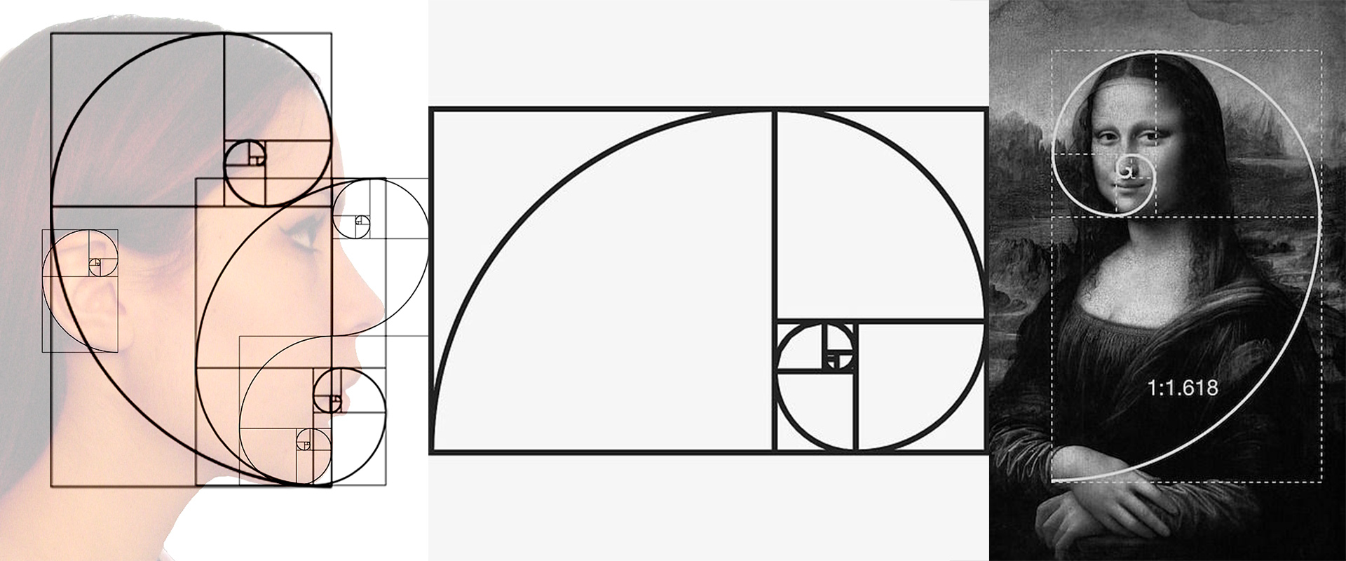 【6大构图套路】帮你解决构图问题 - 哔哩哔哩