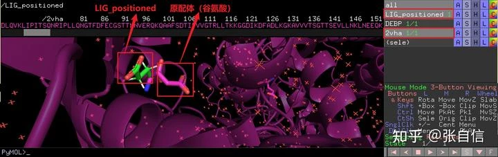 【爆肝万字】基于Rosetta的配体结合位点的设计（Rosetta，Design of Ligand Binding） - 哔哩哔哩