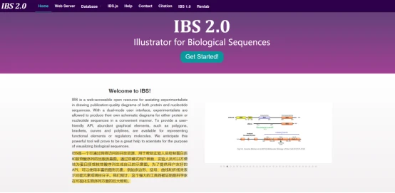 打破信息差之后，原来这11个免费工具都比Figdraw更好用！ - 哔哩哔哩