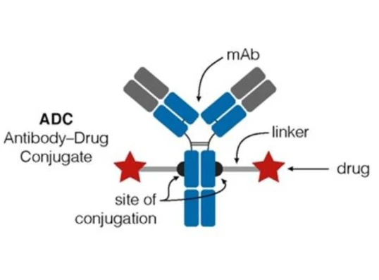 ADC抗体简介-159857-81-5 Mc-Val-Cit-PABC-PNP - 哔哩哔哩