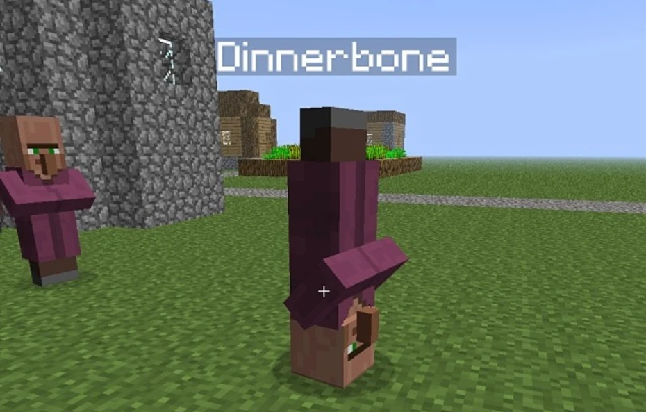《我的世界》看完笑死：万物皆可Dinnerbone！ - 哔哩哔哩
