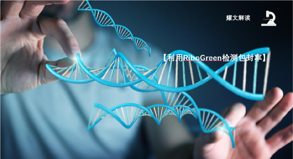 【耀文解读】利用RiboGreen检测包封率 - 哔哩哔哩