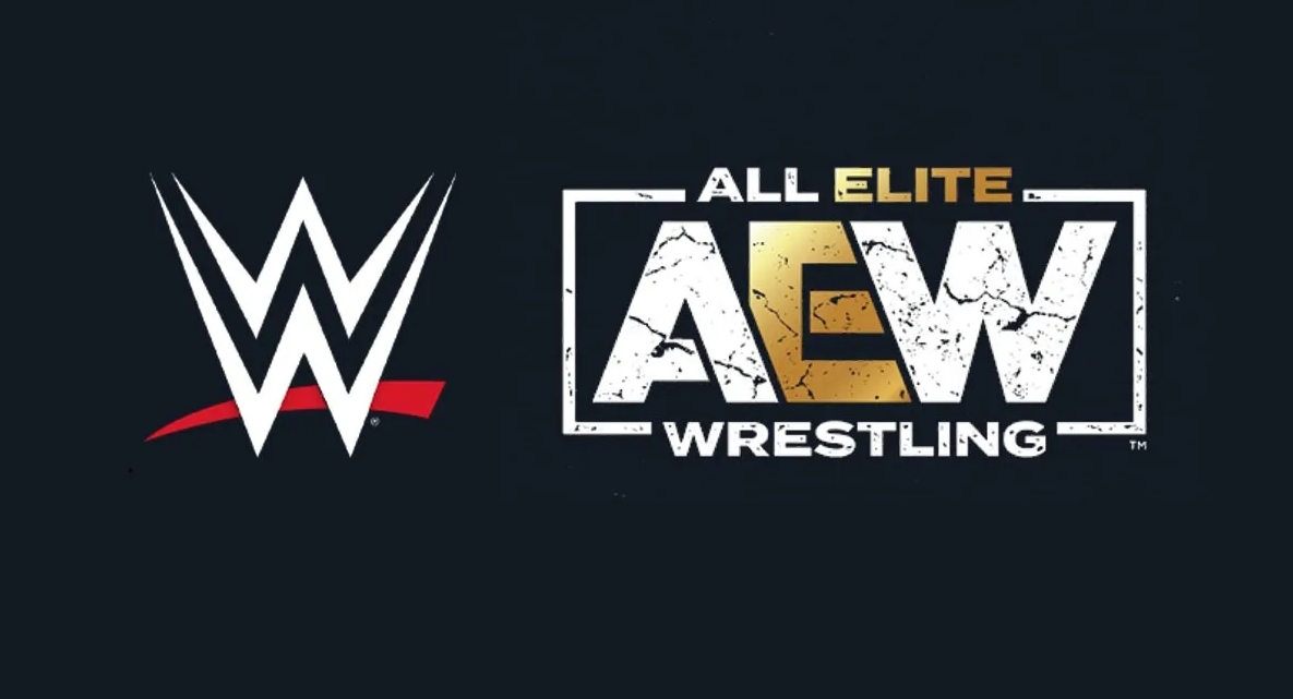 某摔角手控告WWE与AEW剽窃创意，要求索赔2.5亿美元！ - 哔哩哔哩