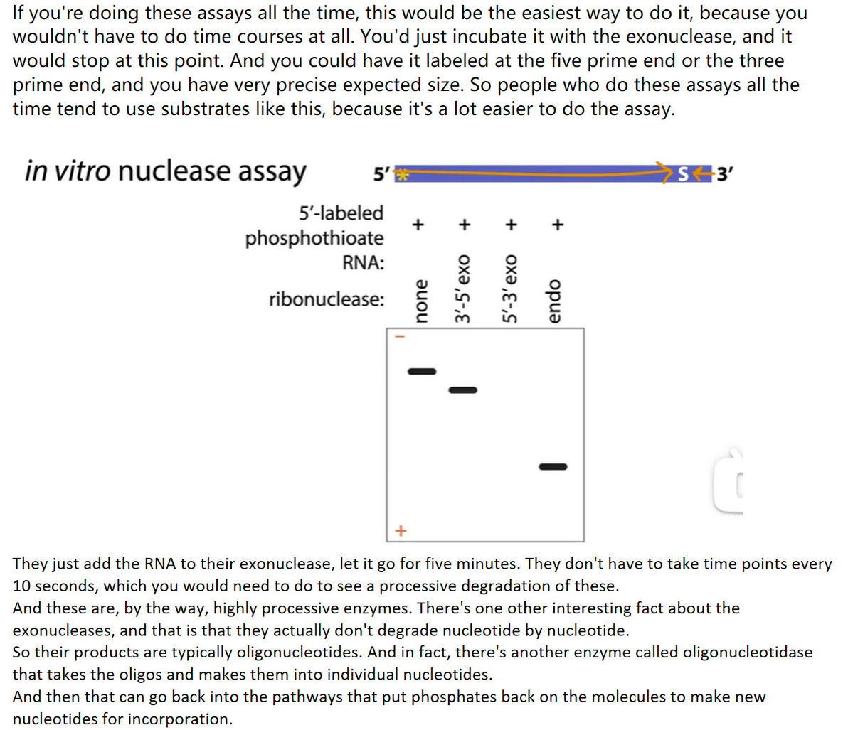 MIT 分子生物学 part3 7.4 Ribonucleases and ln Vitro Nuclease Assay - 哔哩哔哩