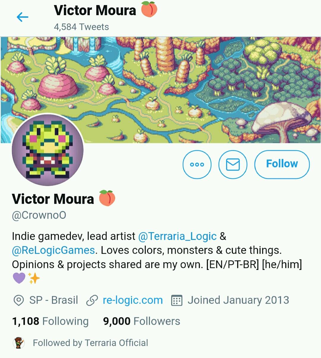 【科普】泰拉瑞亚官方人员详细介绍（上） - 哔哩哔哩