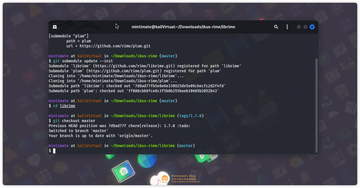 Linux上手动编译安装librime、librime-lua以及ibus-rime，提升中文输入法体验 - 哔哩哔哩