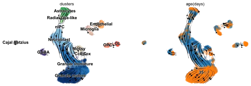 【单细胞测序】RNA velocity：scVelo 应用（三） - 哔哩哔哩