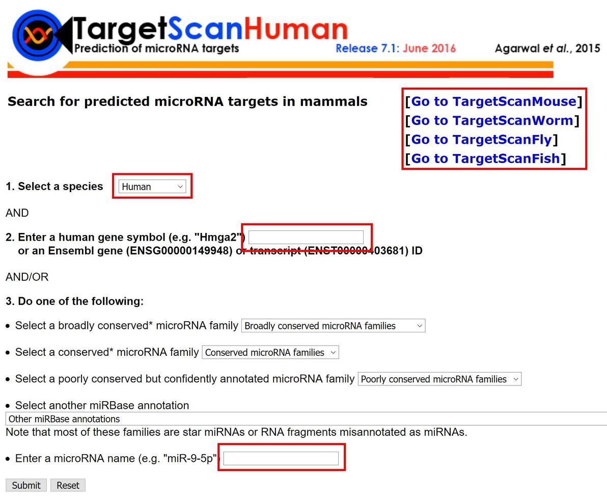 miRNA靶基因及其结合位点的预测|TargetScan - 哔哩哔哩