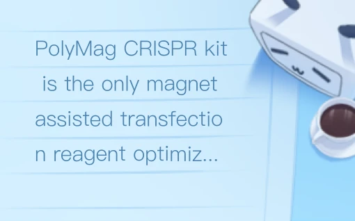 中英文说明书丨艾美捷PolyMag CRISPR试剂盒 - 哔哩哔哩