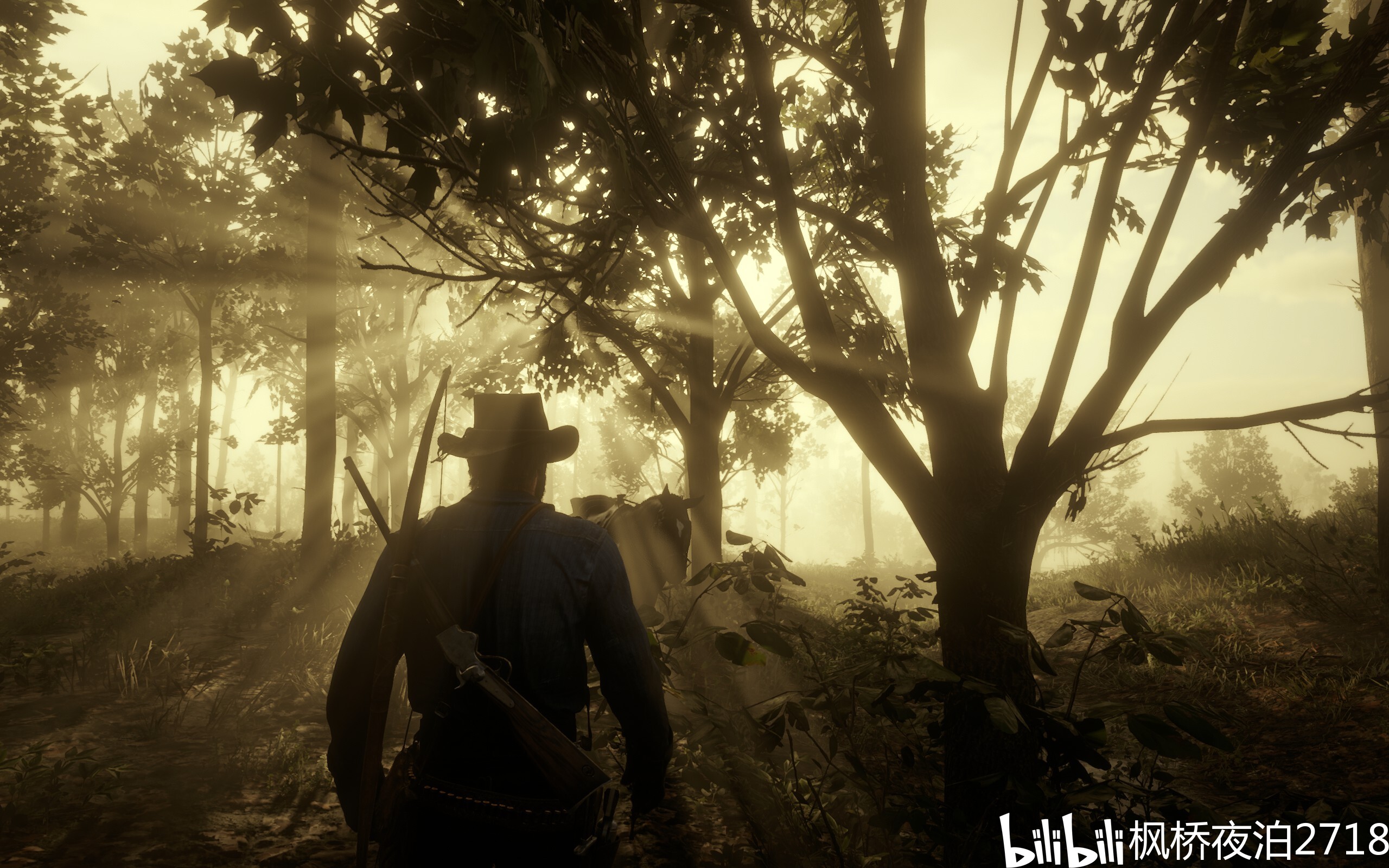 Arthur Morgan-In the shadow of the sun. - 哔哩哔哩