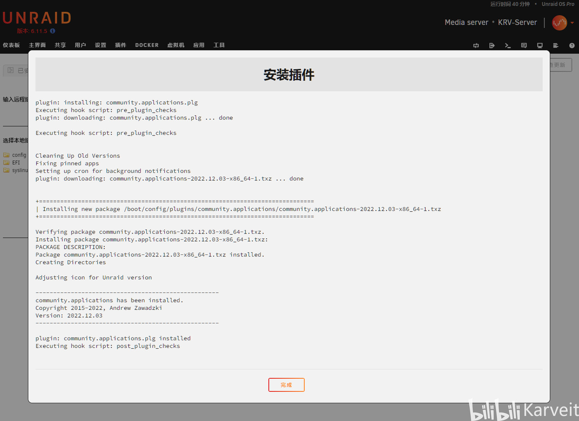 保姆级幼教级UNRAID入门，和解决插件商店及插件安装的网络问题 - 哔哩哔哩