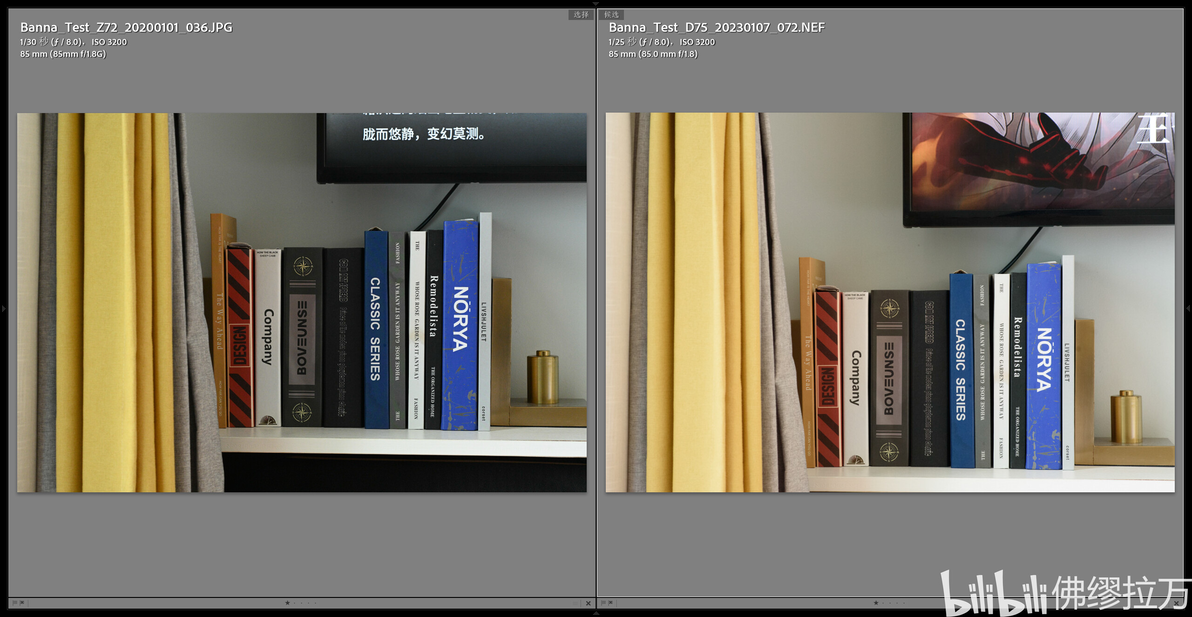 尼康无反系统升级之路（一）：昔日F卡口高感王者D750大战新晋Z卡口风光毕业机Z7II - 哔哩哔哩