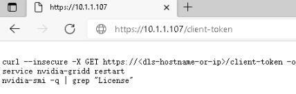 来自民间的NVIDIA VGPU授权fastapi-dls - 哔哩哔哩