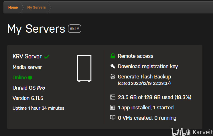 保姆级幼教级UNRAID入门，和解决插件商店及插件安装的网络问题 - 哔哩哔哩