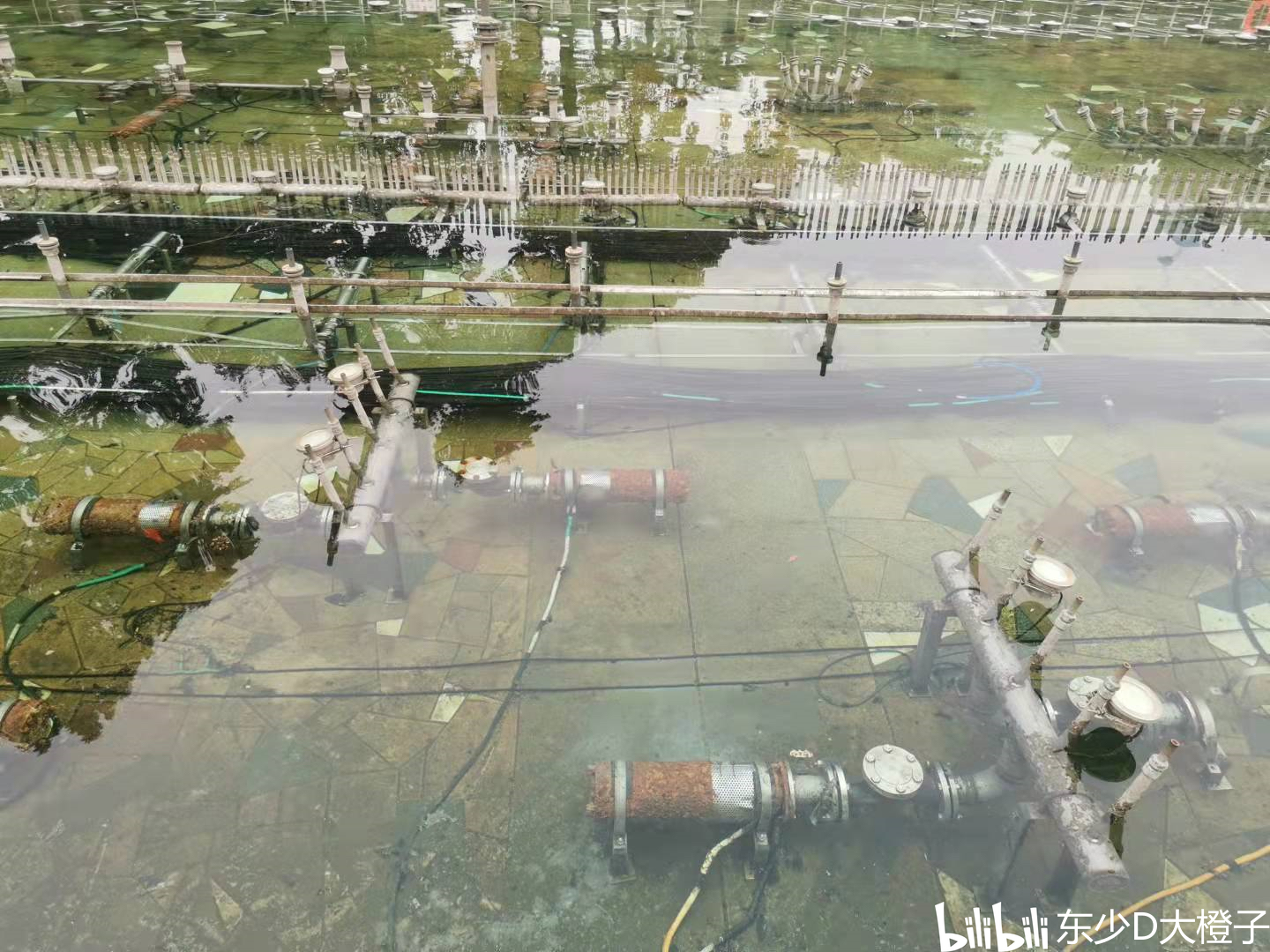 武汉中山公园音乐喷泉今起恢复开放! 哔哩哔哩